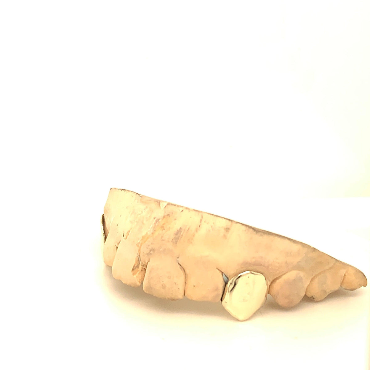 2pc Gold Top Fangs by Seattle Gold Grills – SGG
