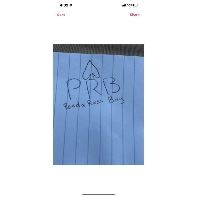 Diamond Ponda Rosa Boy s Pendant | Seattle Gold Grillz