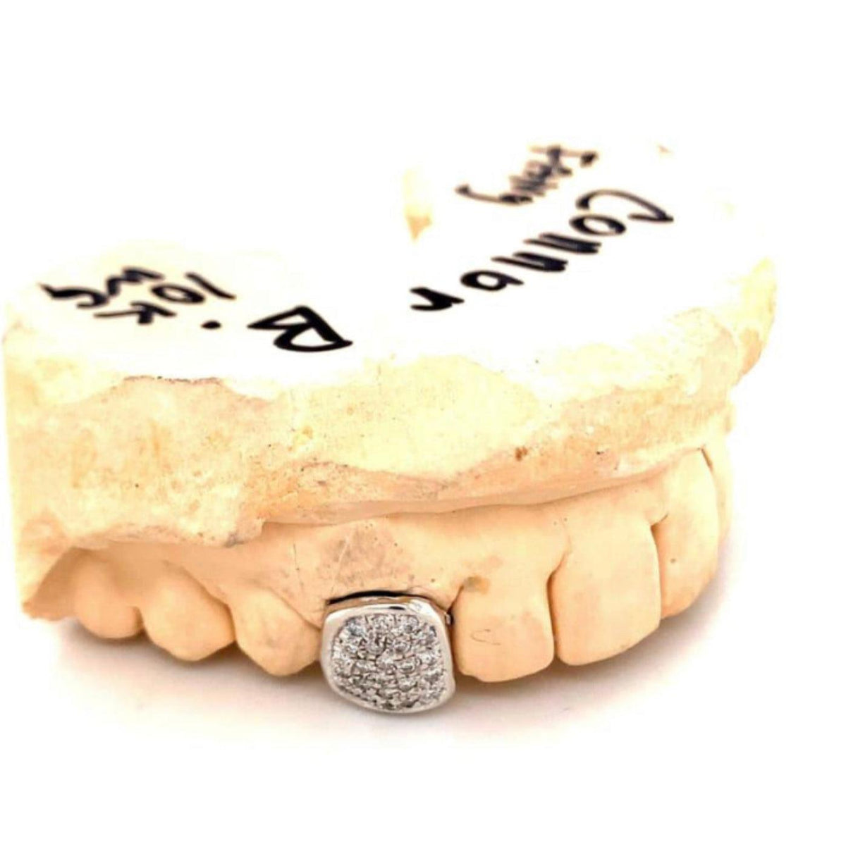Single Diamond Top Fang Grillz – Seattle Gold Grillz